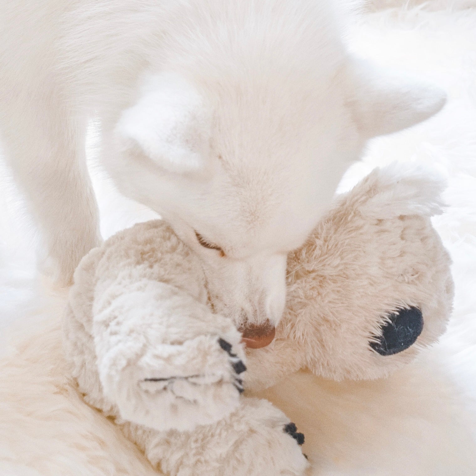 Fur Elise Koko Plush Toy - Maxi – Elise Galleria